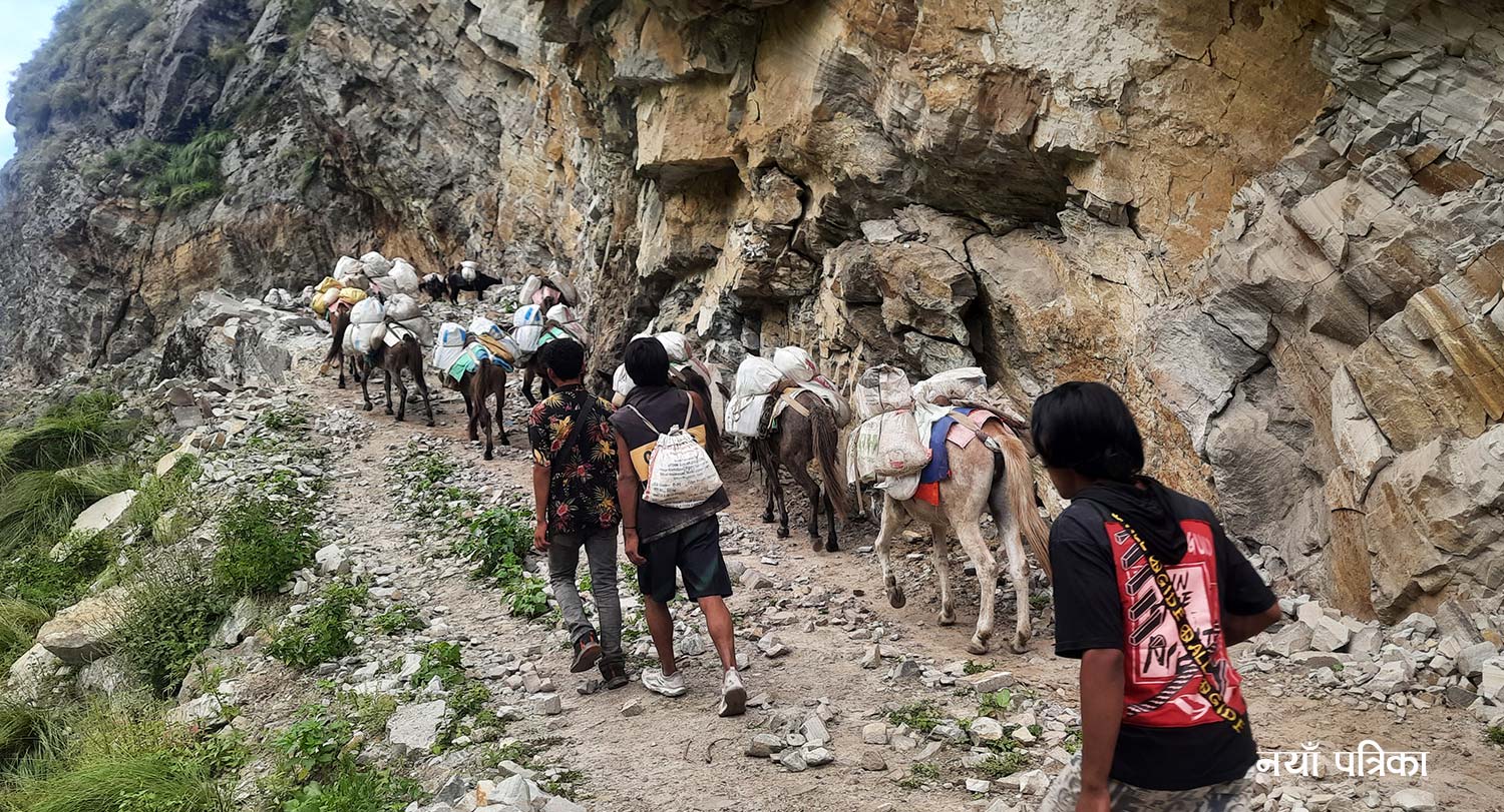 खच्चर व्यवसायबाट जीविकोपार्जन गर्दै युवा पुस्ता